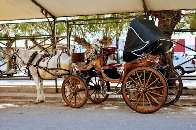 Full Day Sailing Tour from Athens to Agistri Moni and Aegina - FAQs About the Sailing Tour