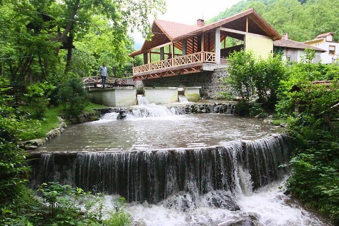 Full Day Sapanca and Masukiye Tour with lunch - FAQ