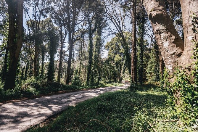 Full-Day Tour to Sintra and Cascais - Final Thoughts: Is This Tour Worth It?