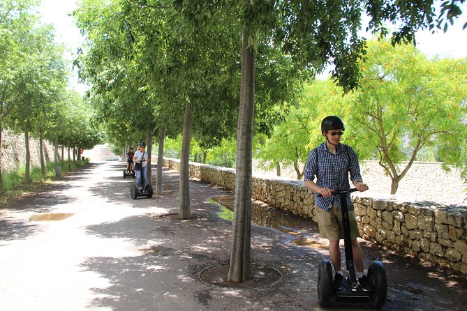 Fun Private Segway Tour in Valencia - The Sum Up
