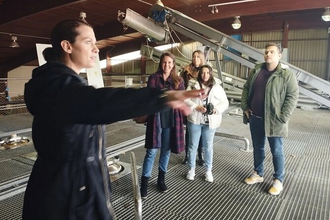 Greece Wine Roads: Athens, Nemea and Santorini - FAQ