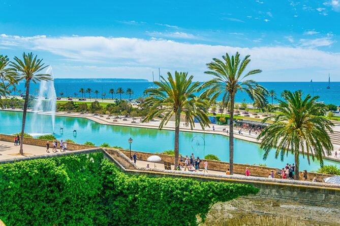 Guided Route through Palma with Cathedral and visit to Valldemossa (4H) - Who Should Consider This Tour