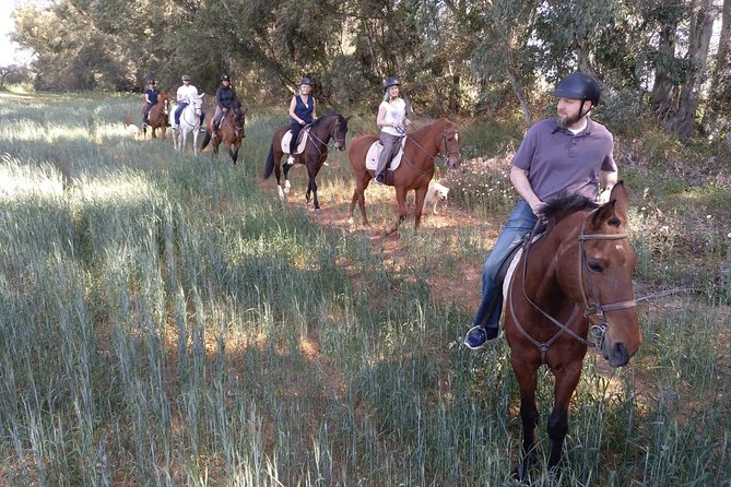 Horse Riding Excursion from Seville - Pricing and Value