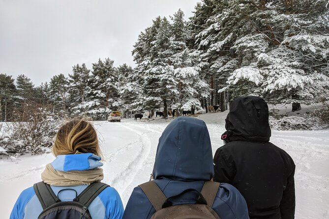 Madrid Mountains Free Walking Tour - What Past Participants Say