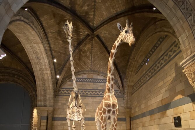 Natural History Museum Self-guided Tour for Kids in English - Practical Tips for Your Visit