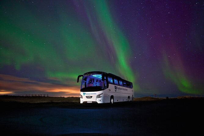 Northern Lights Guided Bus Tour from Reykjavik - Weather and Cancellation: The Big Variables