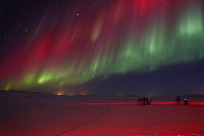 Northern Lights Private Tour from Reykjavik - Who Should Consider This Tour?