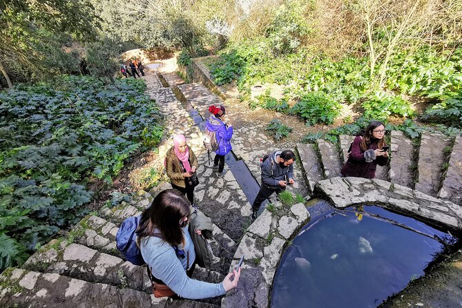 Photography route through the secret nature of Barcelona - Active Observation and Creative Connection