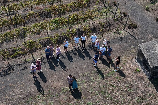 Pompeii and Naples From Rome: Private Full-Day Tour with Lunch - Who Would Enjoy This Tour?