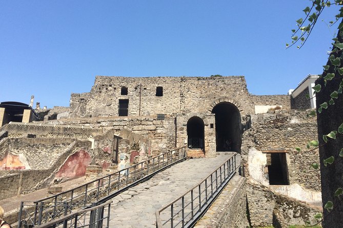 Pompeii-Wine tasting tour from Sorrento, licensed guide included - What Past Travelers Say