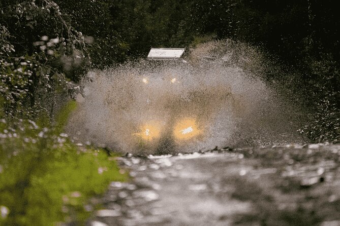 Premium Buggy Experience in Ponte de Lima - Final Thoughts: Who Is This Tour Best For?