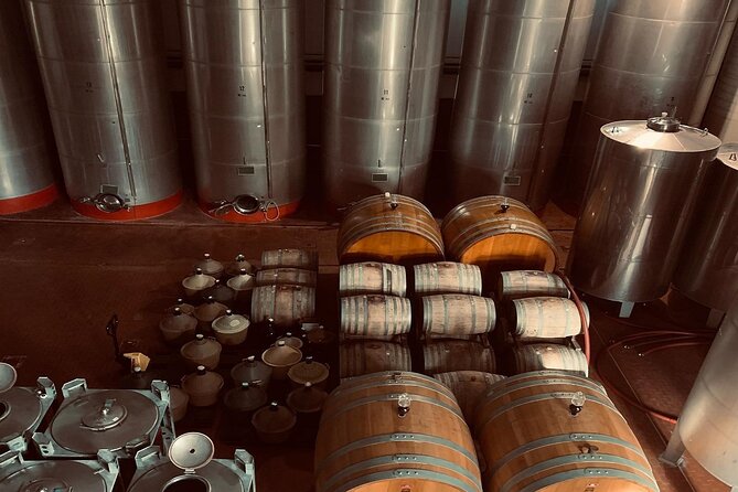 Premium Ischia Wine Tasting Experience with Transfer Included - Authenticity and Overall Experience