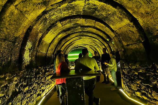 Premium Ribera del Duero tour with winemaker-guide - The culinary highlight: A traditional regional lunch