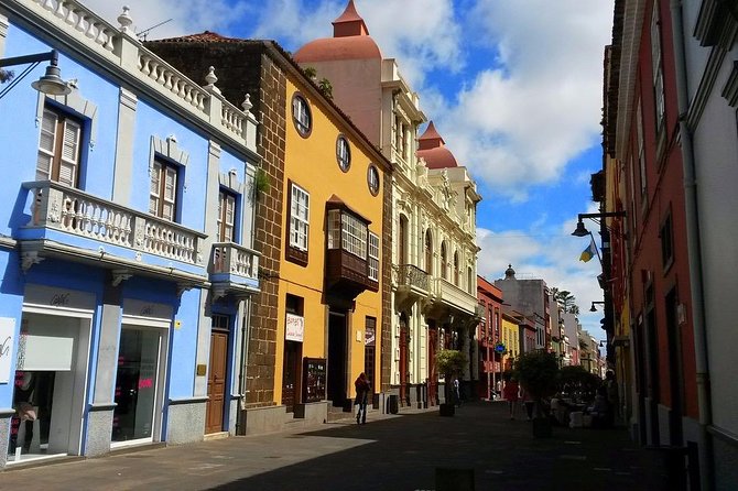 Private 4-hour Tour to La Laguna from Tenerife from Hotel or Port pick-up - Final Thoughts