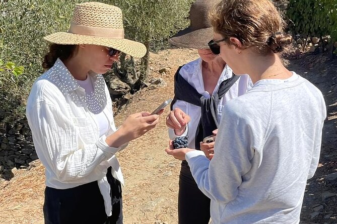 Private Douro 4x4 Adventure from Porto - FAQs