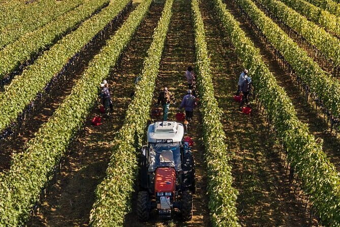 PRIVATE Full-Day Brunello Wine experience from Florence - The Sum Up