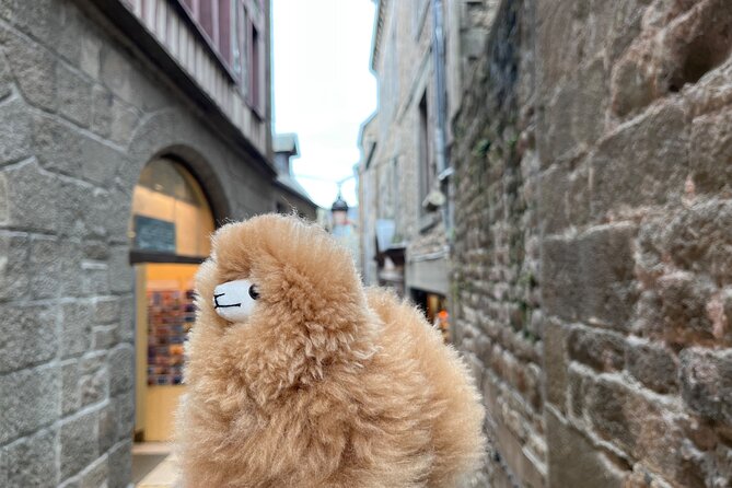 Private Guided Mont Saint Michel & D-day tour from Paris - Practical Considerations