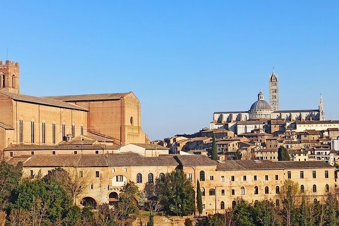 Private Half Day Tour: Visit Siena & Chianti Classic tour with Wine Experience - Final Thoughts