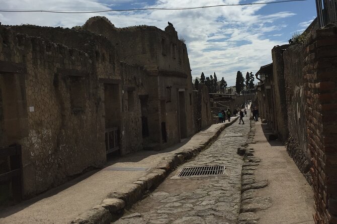 Private Herculaneum Tour for Kids and Families - The Sum Up