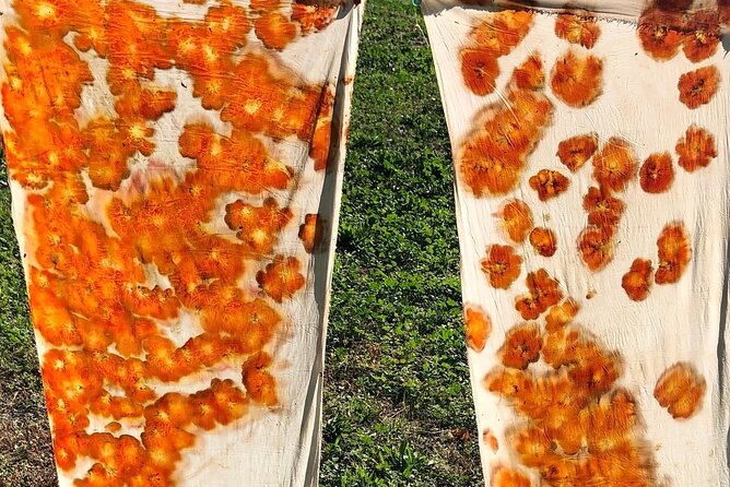 Private Introduction to plant color in Forcalquier in Provence - The Sum Up: Is This Experience Worthwhile?