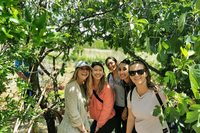 Private tour to Krka waterfalls- Lunch included - Final Words