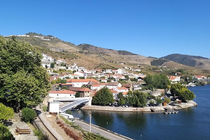 Private Tour to stunning Douro Valley and most renowned wineries - Final Thoughts: Is This Tour for You?
