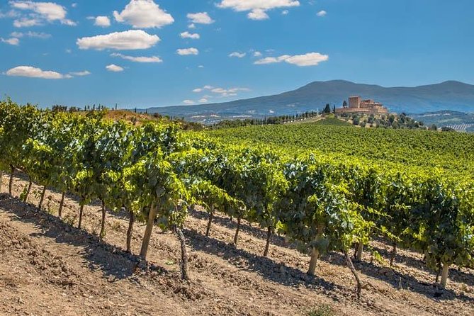 Private: Tuscany Day Tour from Rome with Optional Wine Tasting - The Flexibility & Optional Extras
