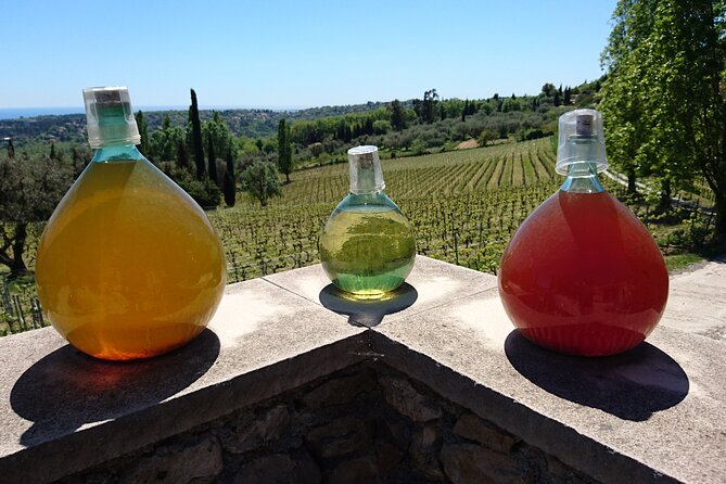 Provence Wine Tour - Private Day Tour from Antibes - Who Should Consider This Tour?