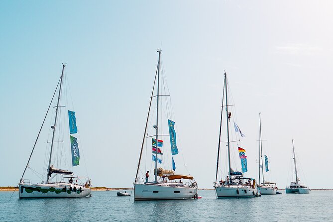 Sailing Experience in Lisbon - Portugal - The Value of the Experience