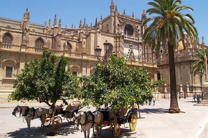 Seville: Cathedral & Giralda Guided Tour with Tickets - The Sum Up: Is This Tour Worth Your Time?