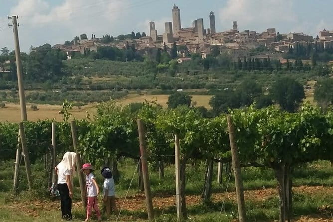Siena Monteriggioni San Gimignano with Lunch&WineTasting Fullday from Florence - Frequently Asked Questions