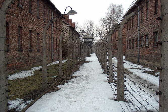 Small Group Auschwitz-Birkenau Guided Tour from Krakow ABTA - Practical Tips