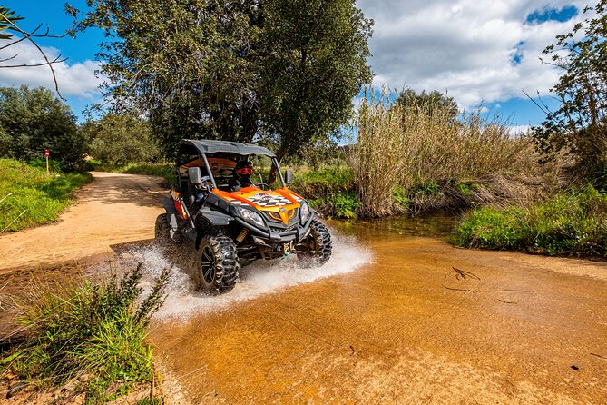 Small-Group Buggy Riding Safari in Algarve - The Sum Up: Is This Tour Worth It?
