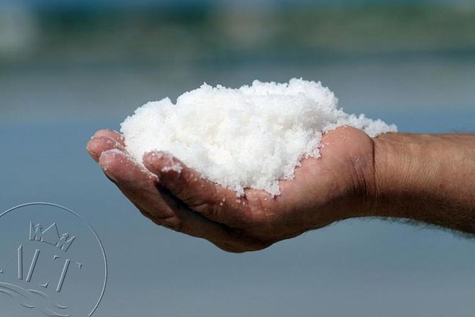 Ston & Trsteno Arboretum - Private Excursion from Dubrovnik w/ Mercedes Vehicle - Who Will Love This Tour?