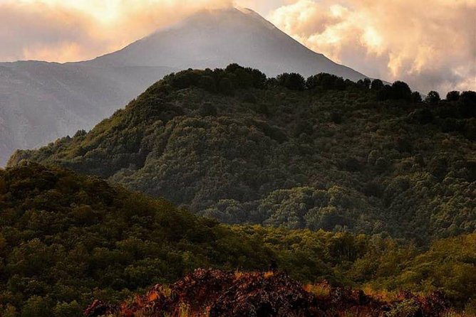 Tour Etna & Wine Tasting Private - FAQs