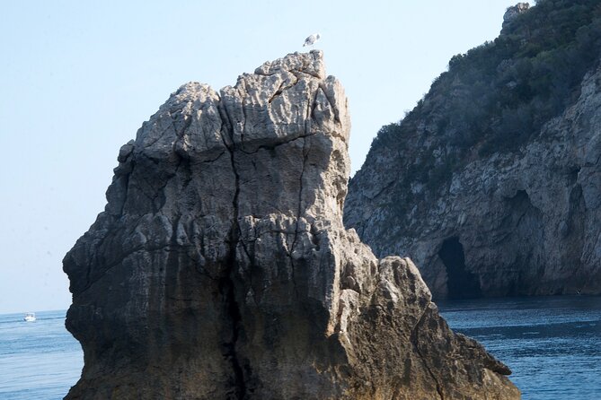 Tour to Baia di Taormina, Isola Bella and Naxos - Who Should Consider This Tour?