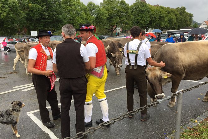 Travel with Swissness - FAQs