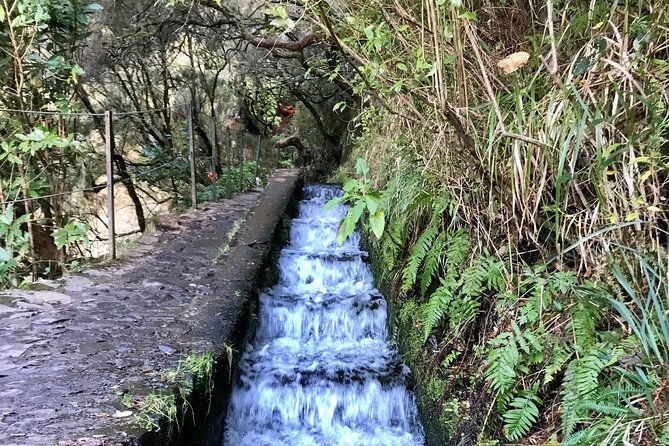 Twenty-Five Fountains Levada walks (private) - Who Should Book This Tour?
