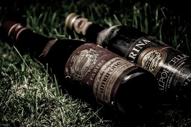 Verona area: Wine Tasting Experience in Valpolicella - Who Would Benefit Most?