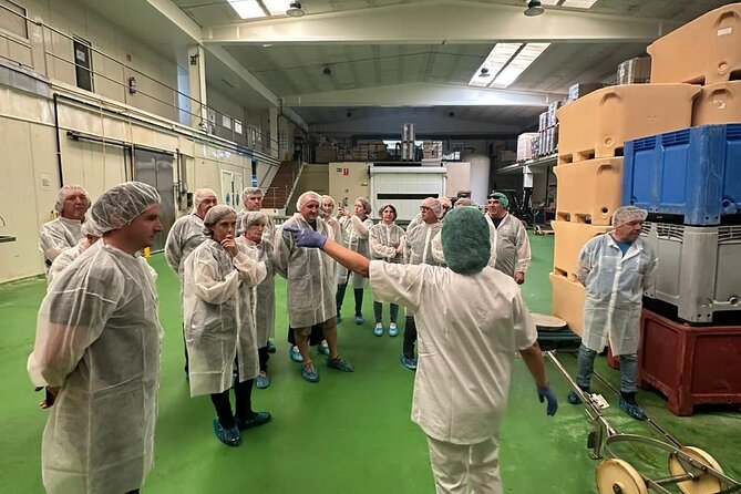 Visit and Gastronomic Experience of the Santoña Anchovy Factory - Final Thoughts