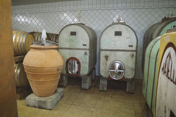 Biodynamic Wine Tasting with Producer in Vinci - The Verdict: Is It Worth It?