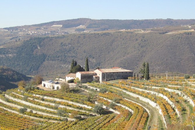 Champagne Experience at a Boutique Winery - FAQ