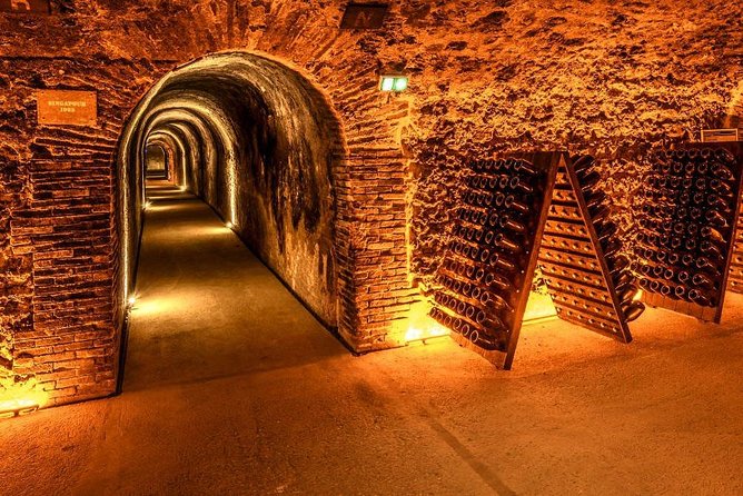 Champagne Small-Group Day Trip with Lunch and Tastings from Paris - The Sum Up