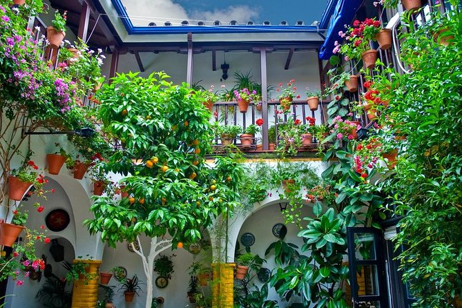 Cordoba Guided Tour with Mosque /Cathedral from Seville - What Could Be Improved?