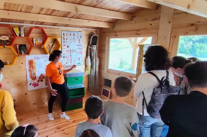 Discovering Bees in Volterra - Who Will Love This Tour?