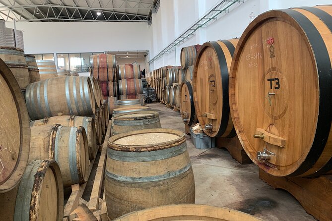 Douro Valley private tour includes wine tasting and boat trip - Who Will Love This Tour?