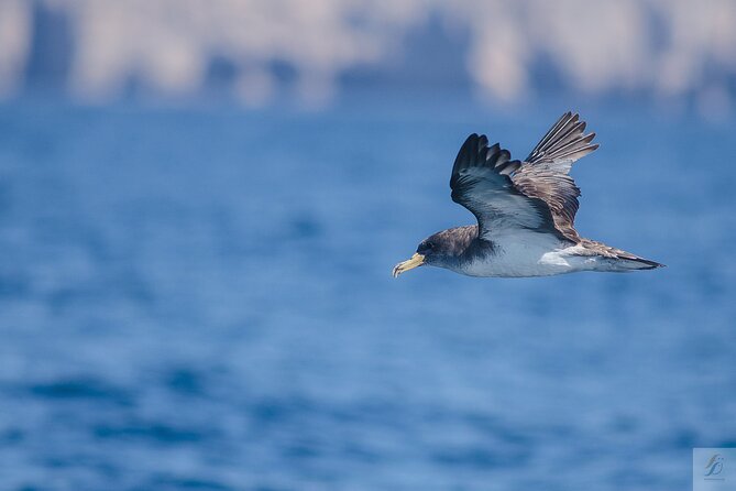 Feathers & Scales - Final Thoughts: Who Should Book This Tour?