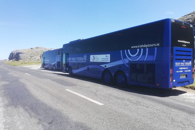 From Dublin: Wicklow, Glendalough, Waterfall & Sheepdog demo - Final Thoughts