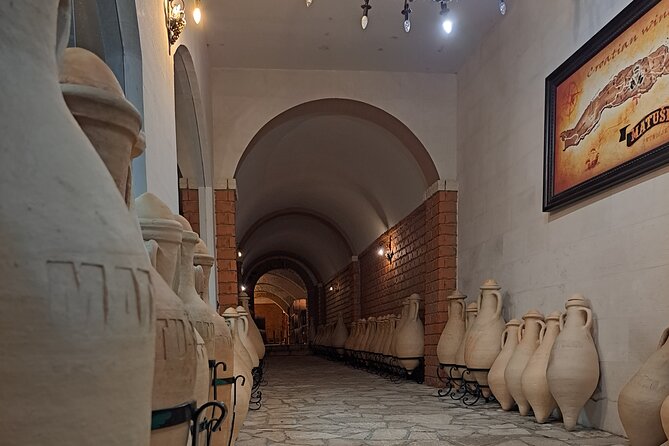 From Dubrovnik: Peljesac Wine Tasting Private Tour - Final Thoughts