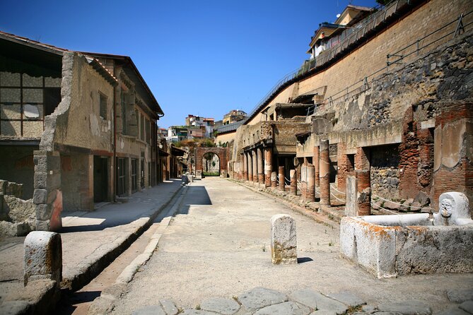 Herculaneum for Families Private Walking Tour - FAQs